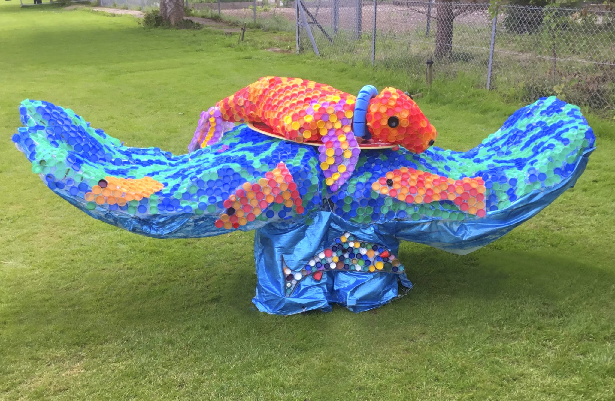 Keeping Seals Safe - Flying Rings Campaign Update - Friends of Horsey Seals