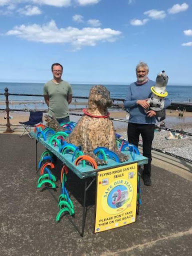 Keeping Seals Safe - Flying Rings Campaign Update - Friends of Horsey Seals